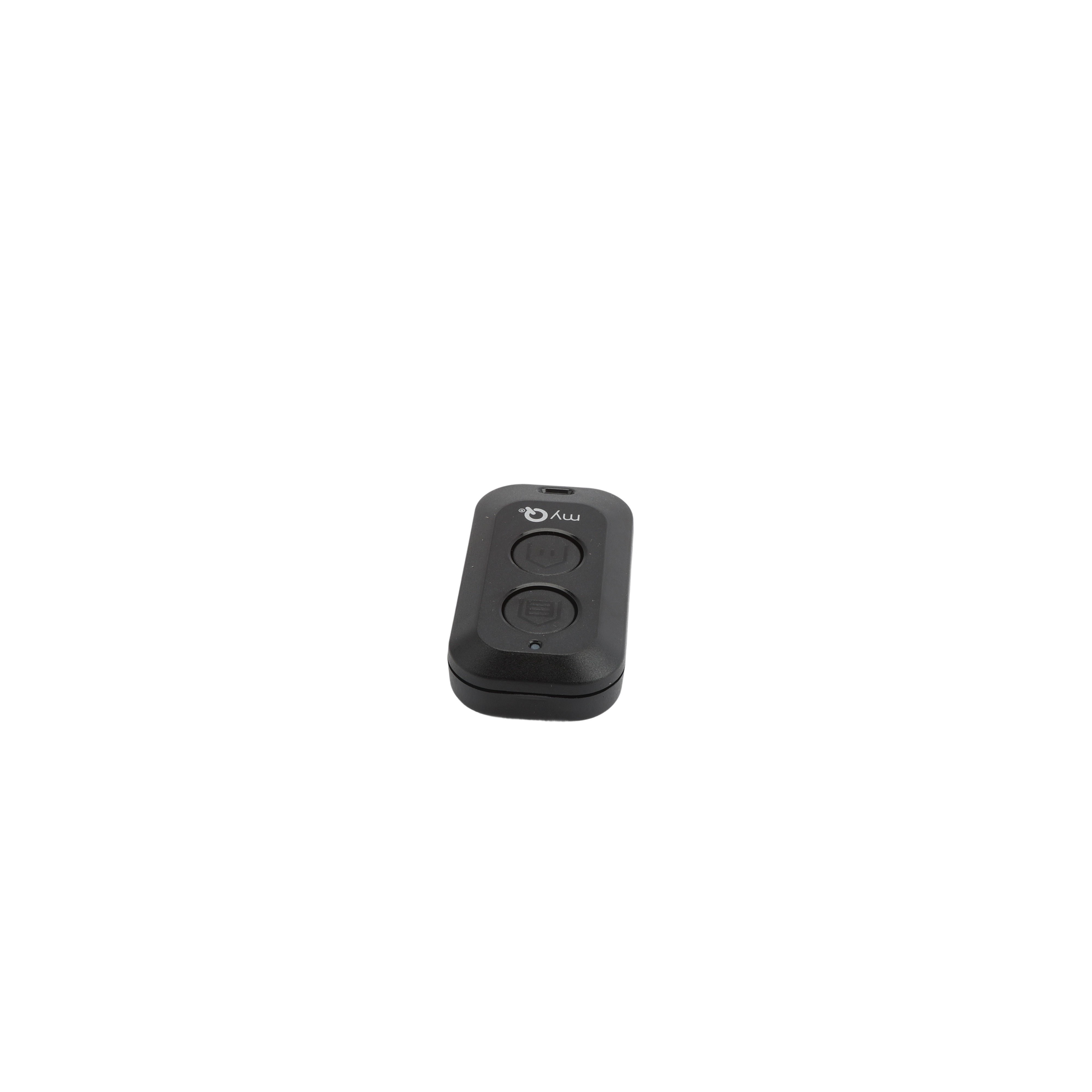 LiftMaster 2-Button Keychain Transmitter Remote (Security+, 2.0, 3.0 ...