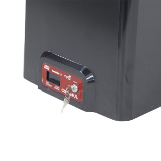 LiftMaster Commercial Swing Gate Opener - 0.5HP, 24VDC, With Photo Eye ...